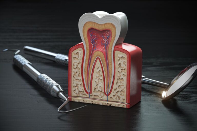Front Tooth vs. Molar Root Canals: What to Expect